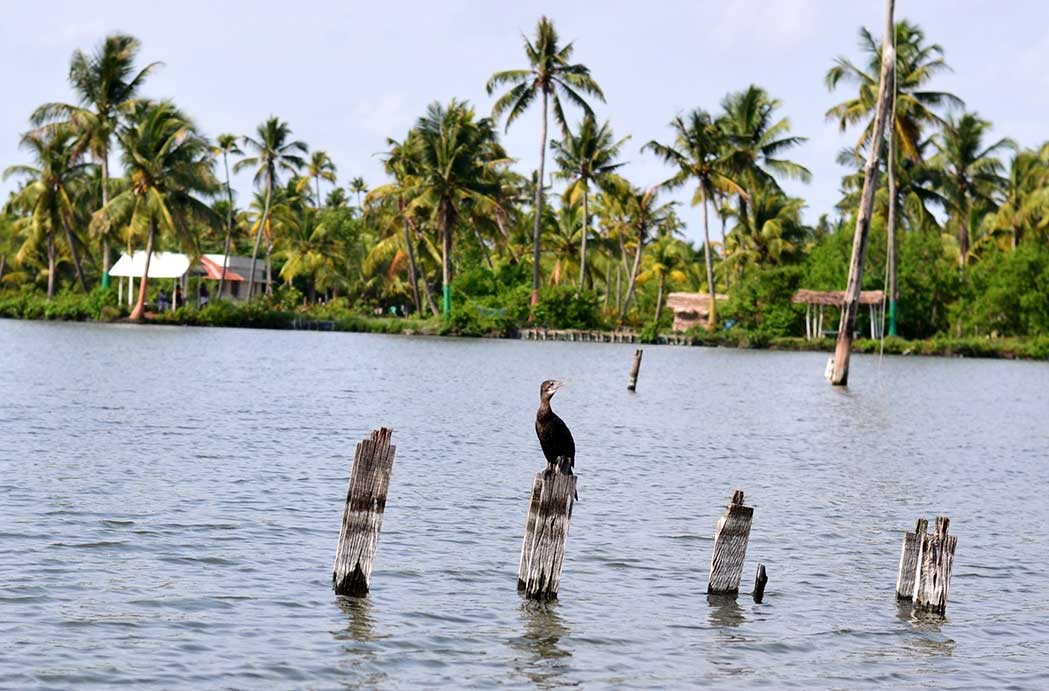 Long Weekends 2025: Craft Your Enthralling Vacation Bucket List This Year!