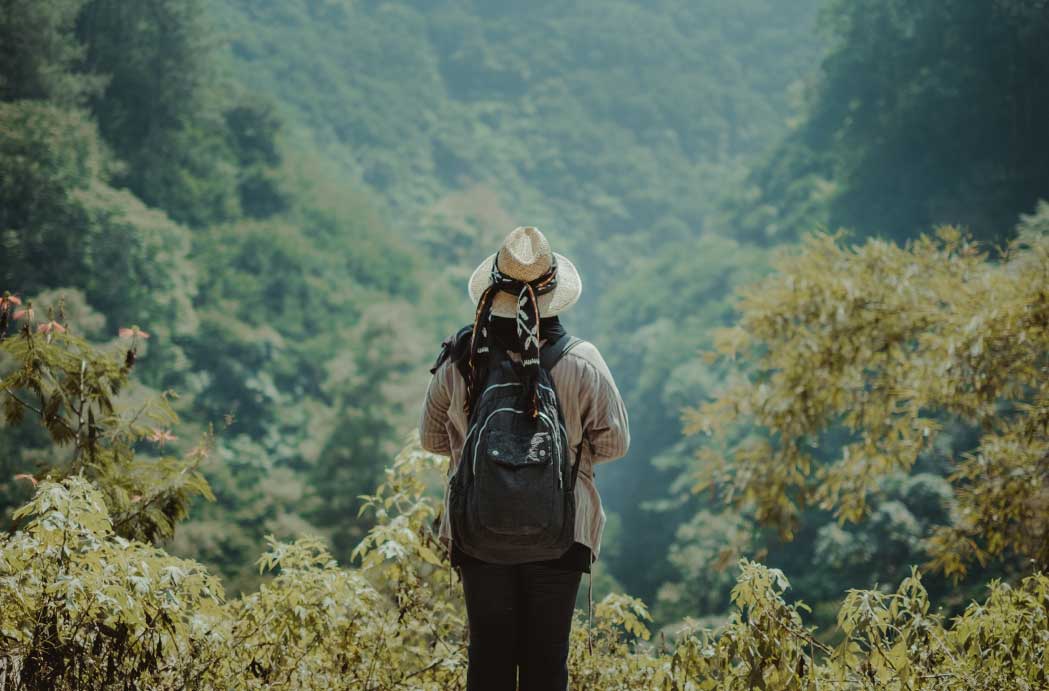 Ecotourism In India: A Journey Through Unique Landscapes - Treebo Blog