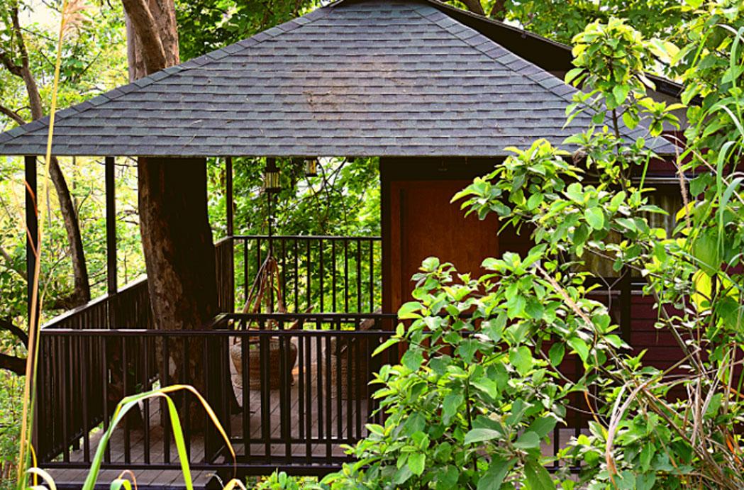 Into the Lap of Nature: 15 Enchanting Tree Houses in India