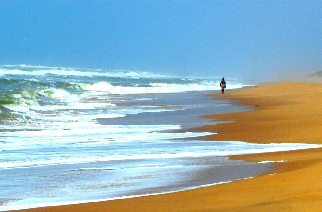 Beaches in Odisha: Unveiling Coastal Charms and Untouched Beauty