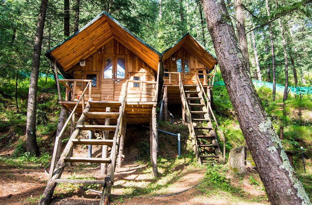 Into the Lap of Nature: 15 Enchanting Tree Houses in India