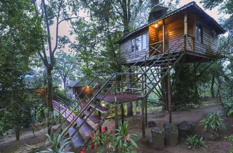 Into the Lap of Nature: 15 Enchanting Tree Houses in India