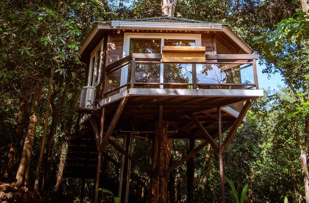 Into the Lap of Nature: 15 Enchanting Tree Houses in India