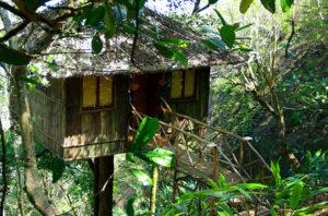 Into the Lap of Nature: 15 Enchanting Tree Houses in India