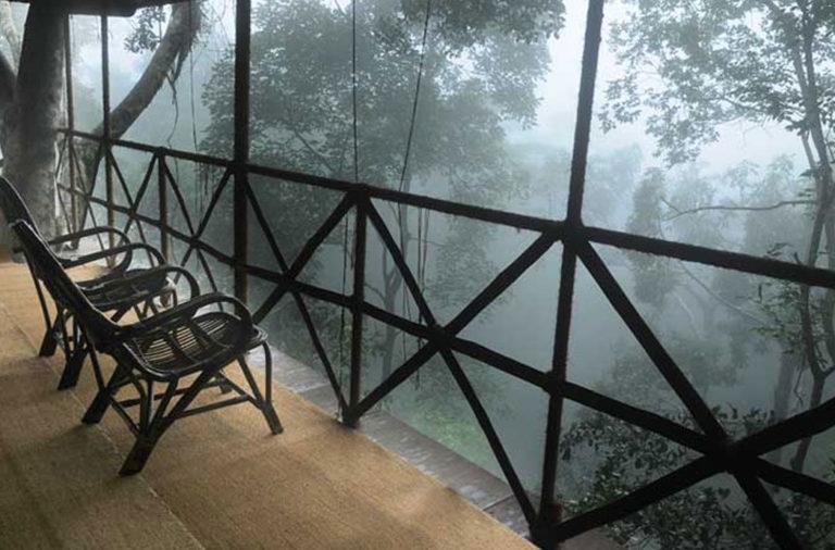 Into the Lap of Nature: 15 Enchanting Tree Houses in India