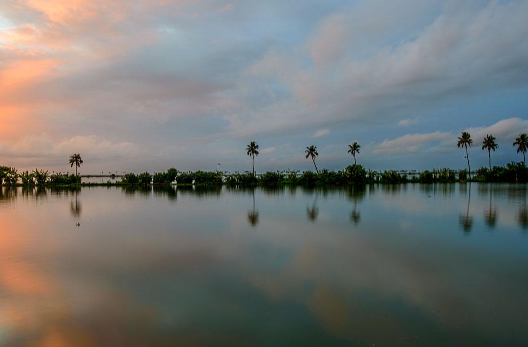 Timing is Everything: Decoding the Best Time to Visit Alleppey - Treebo ...