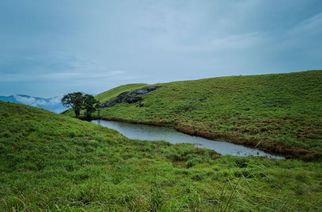 Best Time to Visit Wayanad - A Quick Guide For Travellers