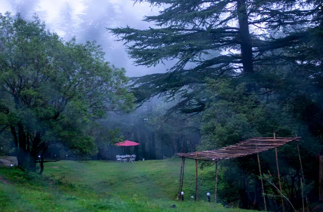 Here is the Best Time to Visit Mussoorie to Experience its Natural ...