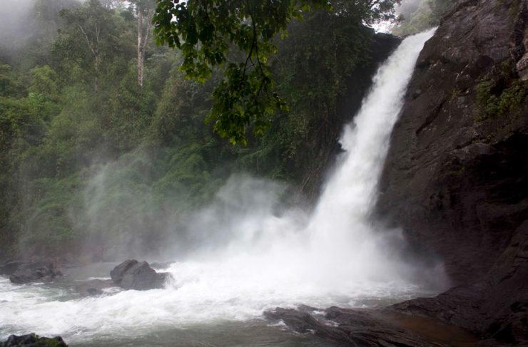 Best Time to Visit Wayanad - A Quick Guide For Travellers