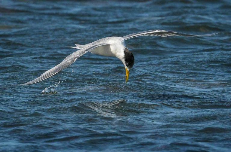 Unraveling 12 Places To Visit In Lakshadweep For An Enriching Travel ...