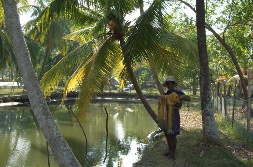 Rural Tourism: Your Guide to Authentic Village Lifestyle in India ...