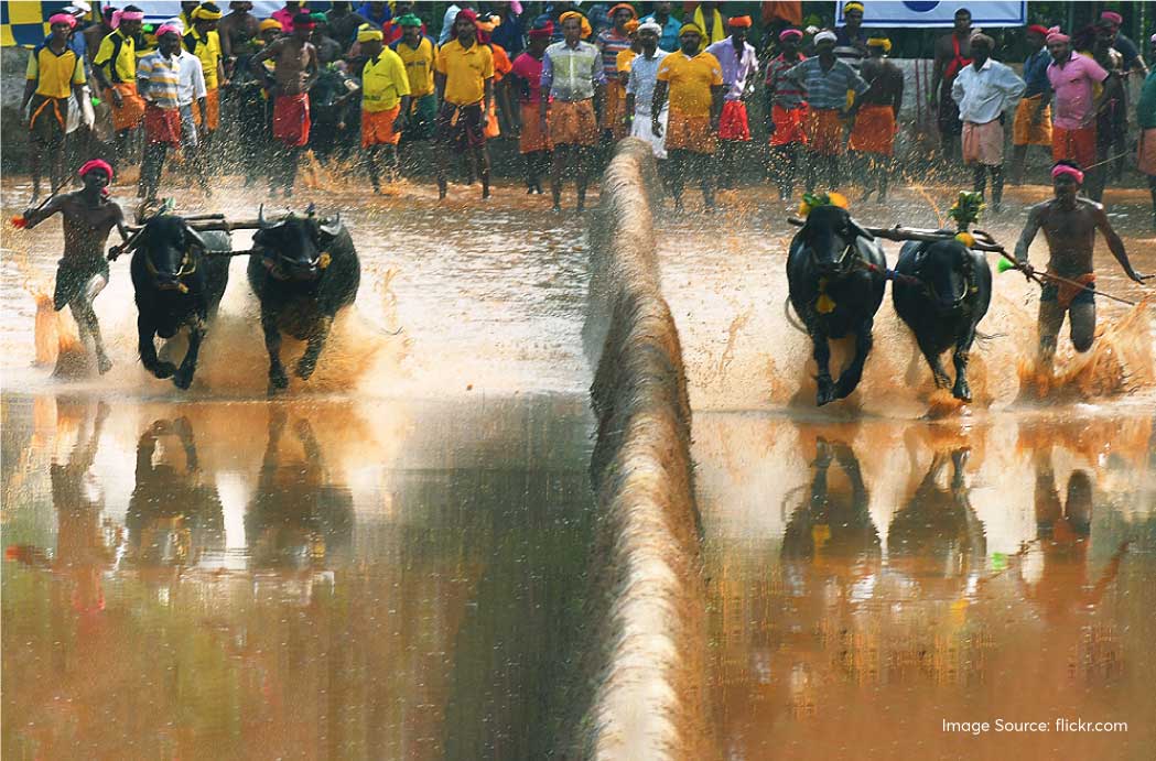 12 Traditions in India to Give a Spine Chilling Experience - Treebo Blog