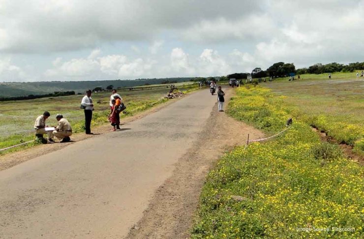 Kaas Pathar: Guide to Maharashtra's Magical Valley of Flowers