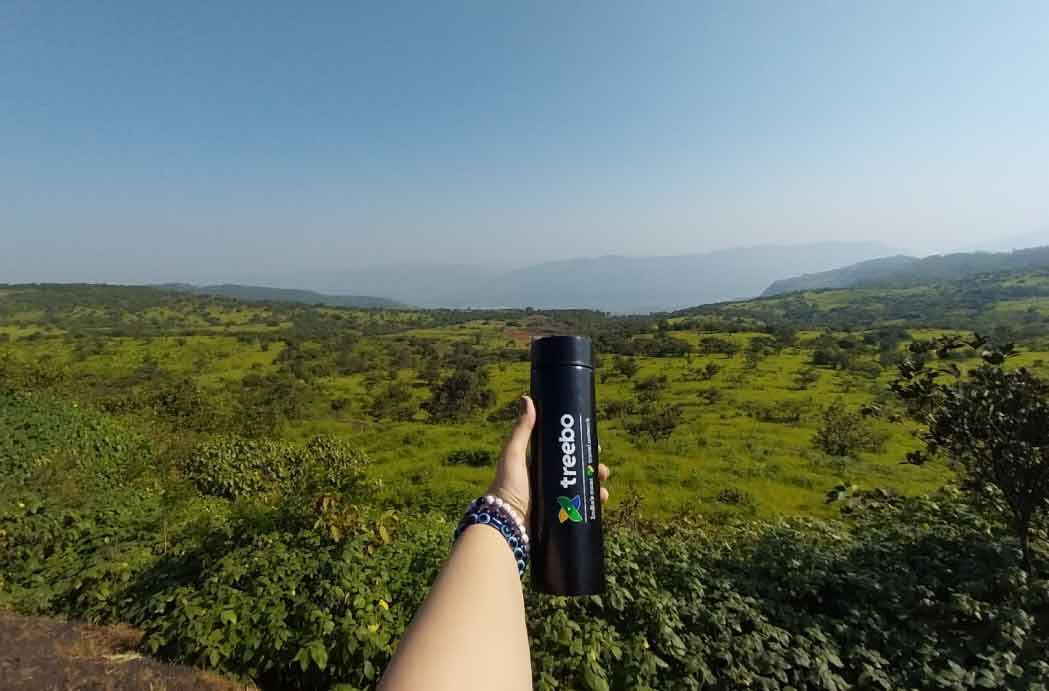 Kaas Pathar: Guide to Maharashtra's Magical Valley of Flowers