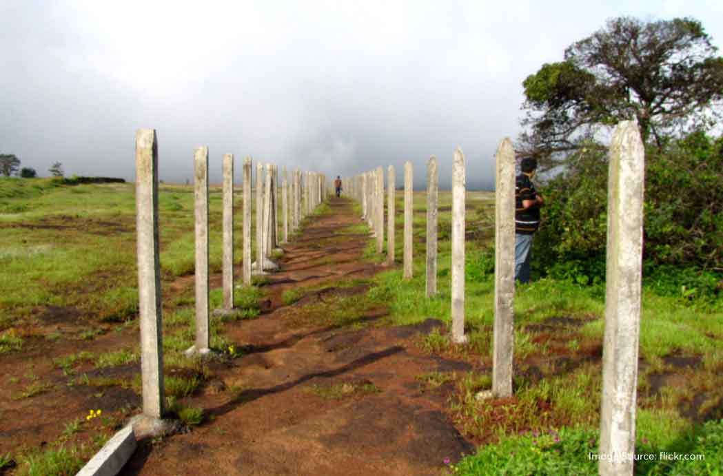 Kaas Pathar: Guide to Maharashtra's Magical Valley of Flowers