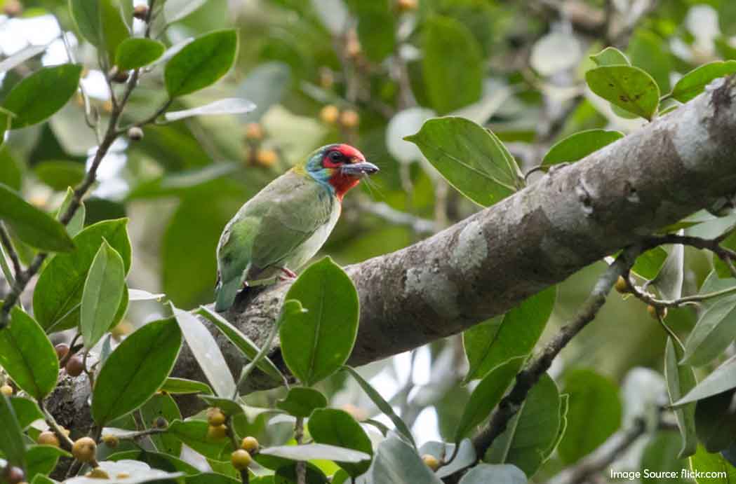13 Places to Visit in Valparai to Immerse in the Land of Greens