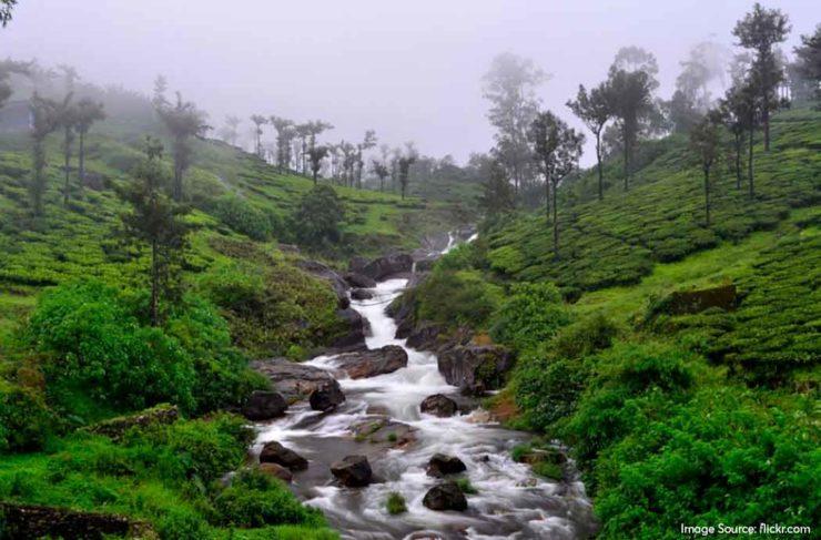 13 Places to Visit in Valparai to Immerse in the Land of Greens