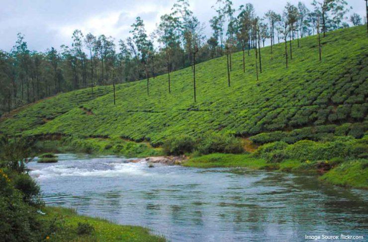 13 Places to Visit in Valparai to Immerse in the Land of Greens