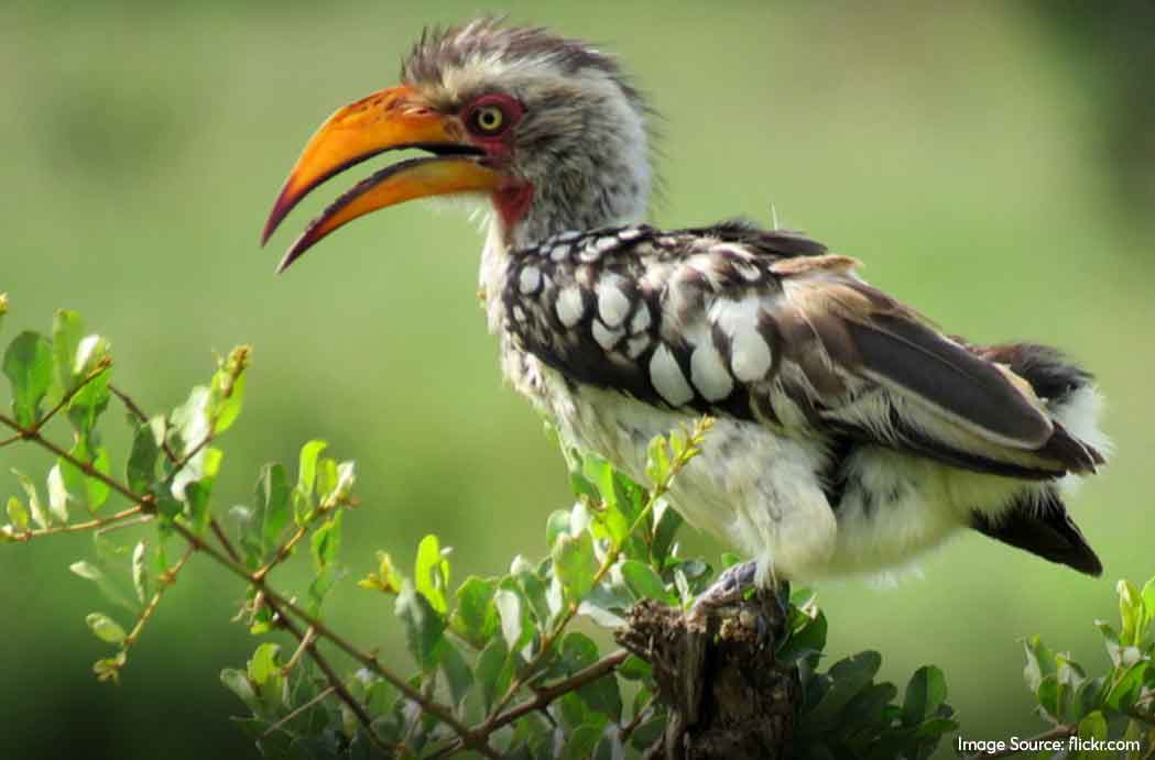 13 Places to Visit in Valparai to Immerse in the Land of Greens