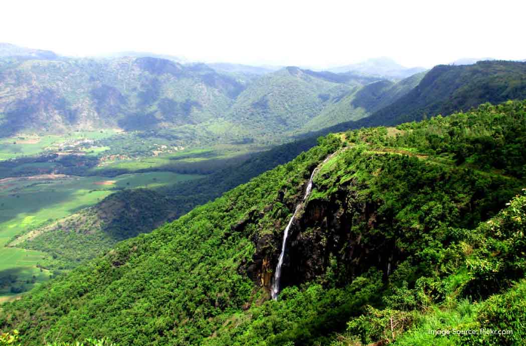 Unveiling 19 Attractions in Idukki: A Paradise in the Heart of Kerala