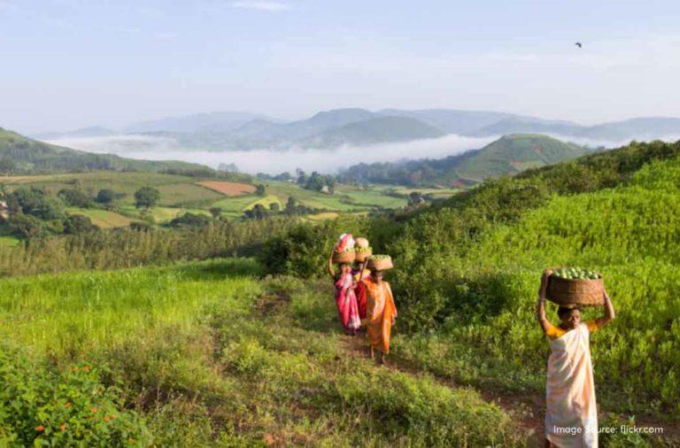 Coffee Plantations in India: The 7 Off-Beat Places to Visit for ...