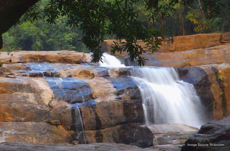 Unveiling 19 Attractions in Idukki: A Paradise in the Heart of Kerala