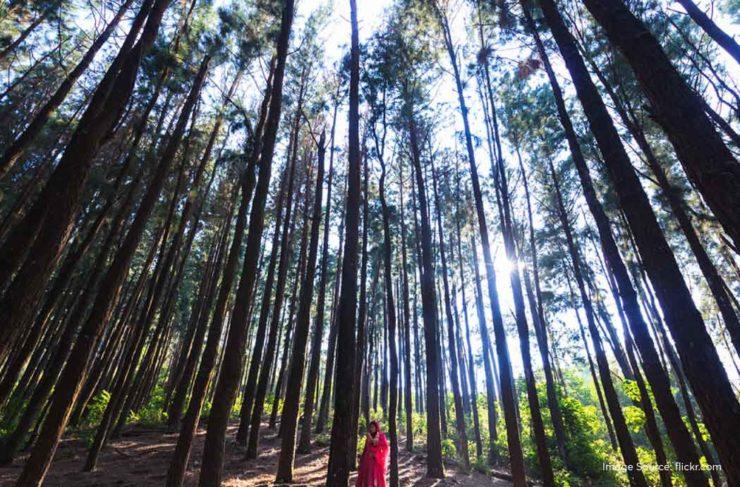 12 Encapsulating Places to See in Vagamon: Valleys, Views and More