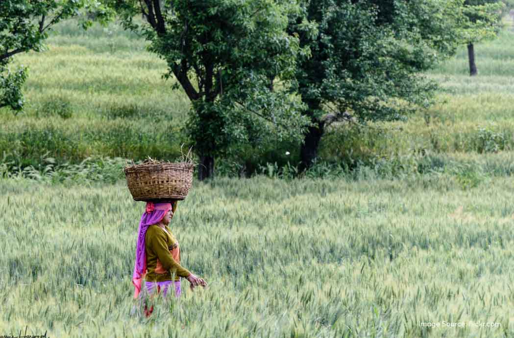 Andretta: An Artistic Retreat Amidst the Snow Laden Mountains