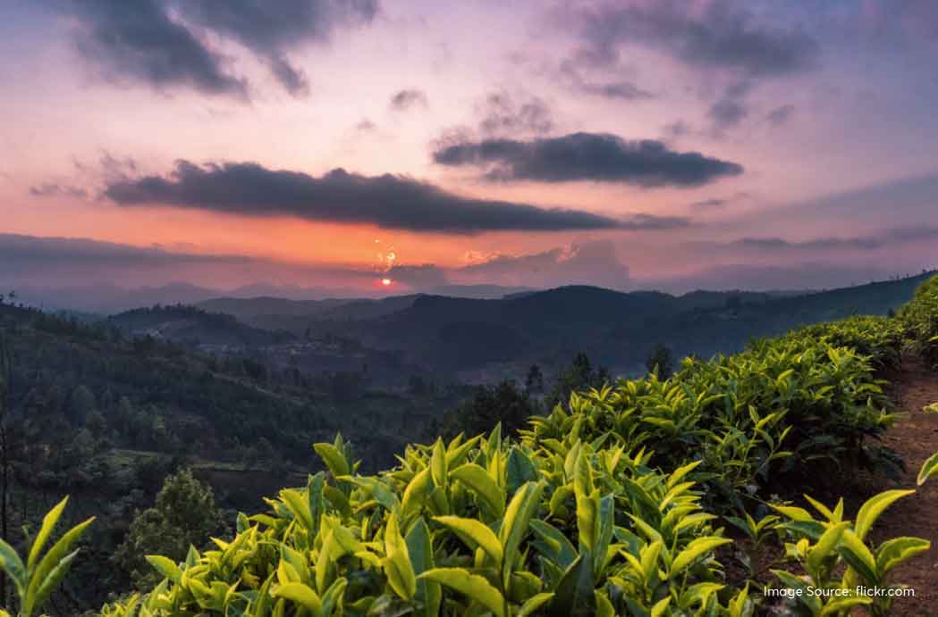 Valleys in India: Witness the Tapestry of Culture Wrapped in Natural ...
