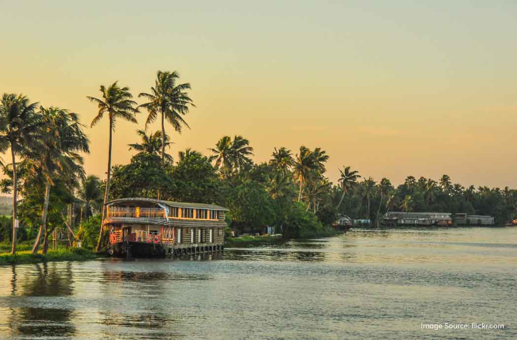 Backwaters of Kerala: Palms, Panoramas and Picturesque Backdrops