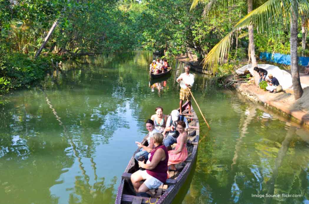 Backwaters of Kerala: Palms, Panoramas and Picturesque Backdrops