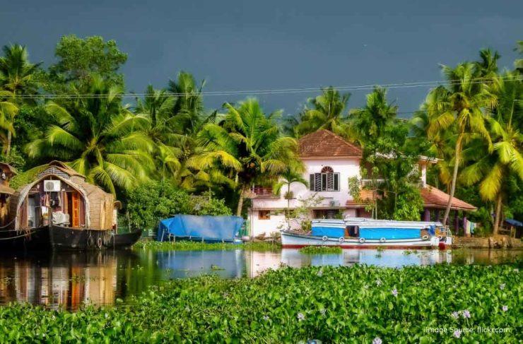 Backwaters of Kerala: Palms, Panoramas and Picturesque Backdrops