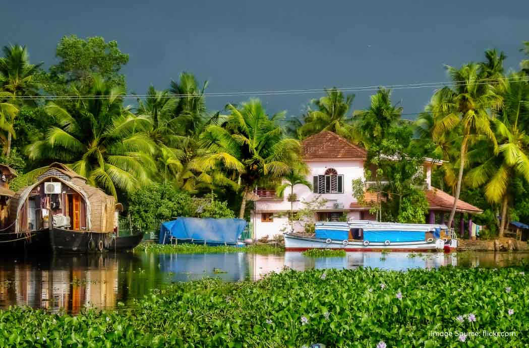 Backwaters of Kerala: Palms, Panoramas and Picturesque Backdrops