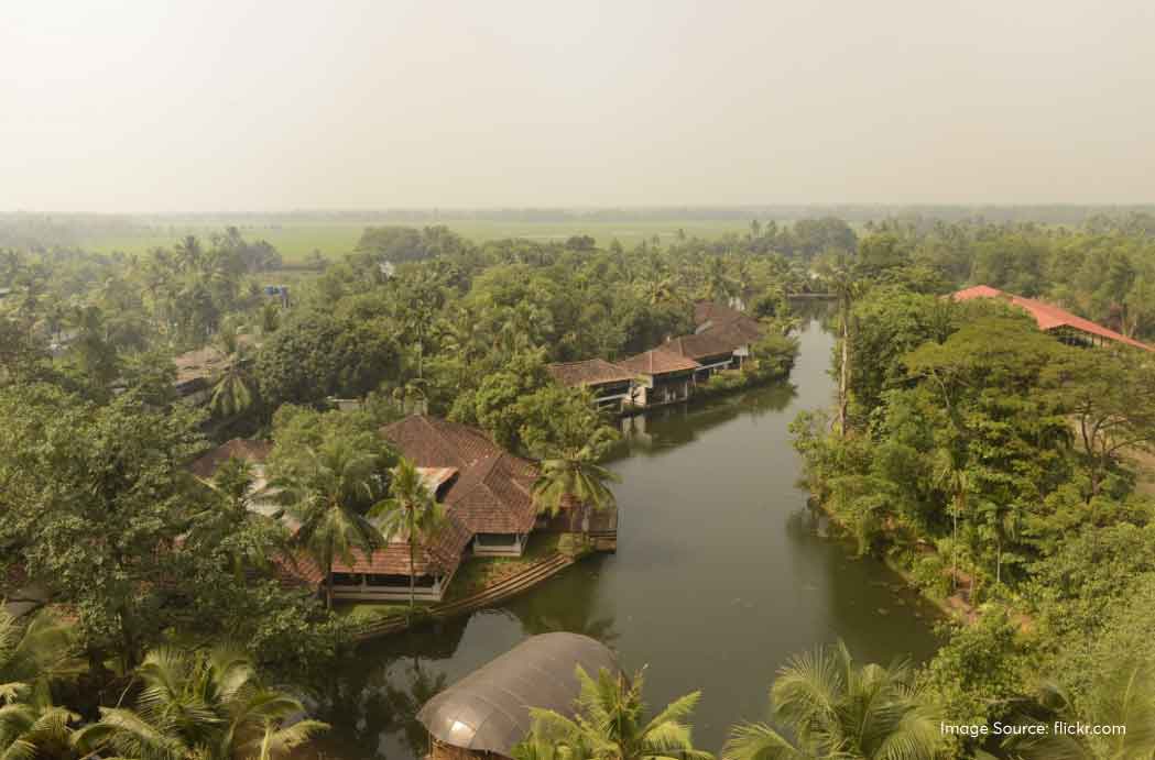Backwaters of Kerala: Palms, Panoramas and Picturesque Backdrops