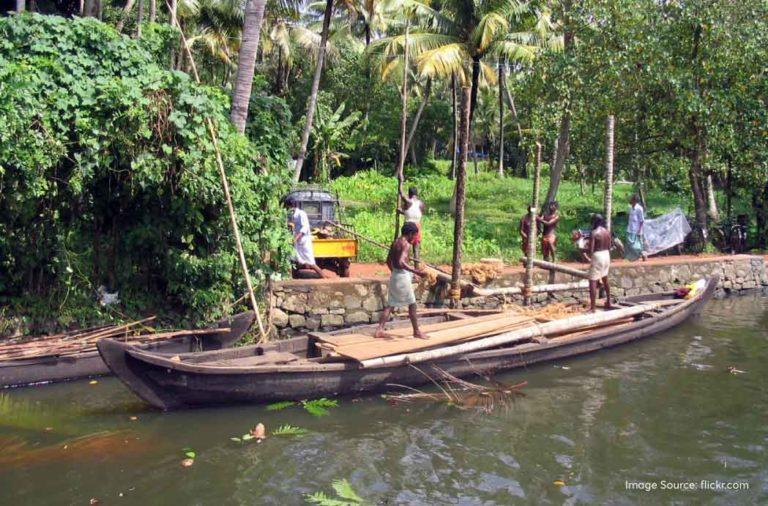 Backwaters of Kerala: Palms, Panoramas and Picturesque Backdrops