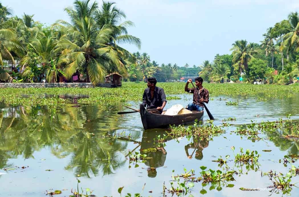 Backwaters of Kerala: Palms, Panoramas and Picturesque Backdrops