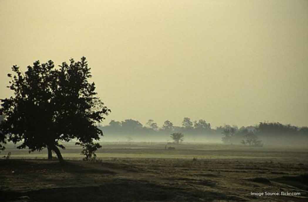 Majuli Island: Pack Your Bags Today to Experience The Riverside Reverie!