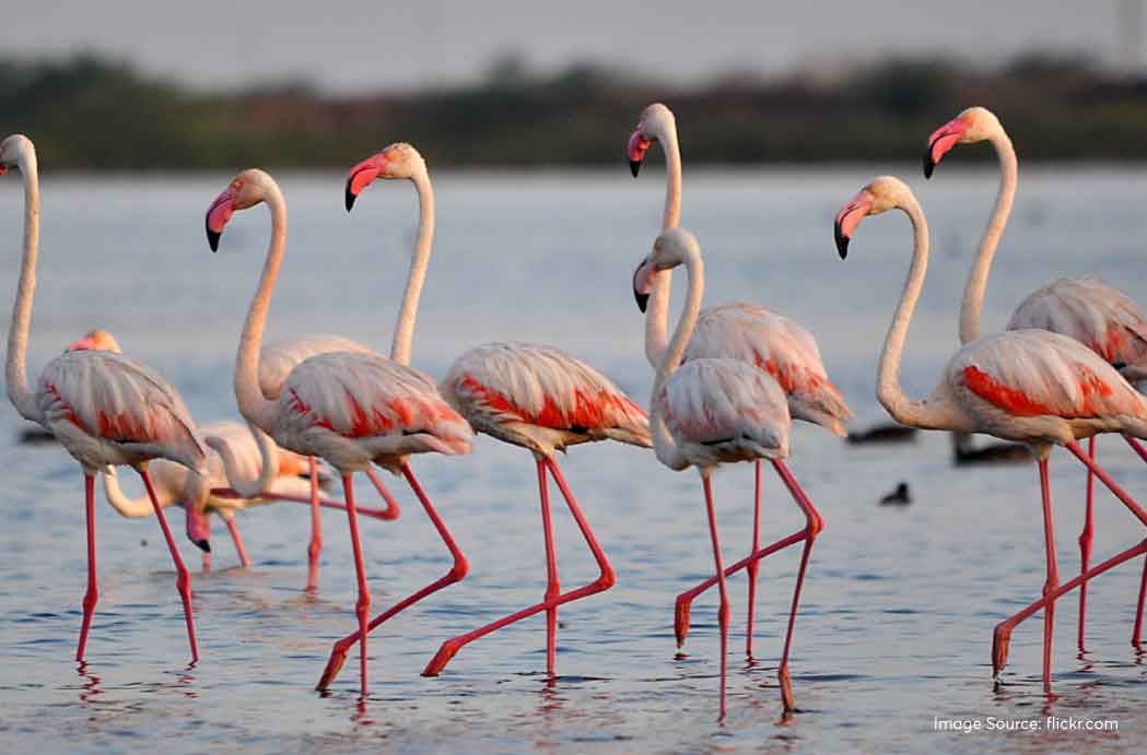 Places to Visit in Jamnagar: Journeying through Hills and History