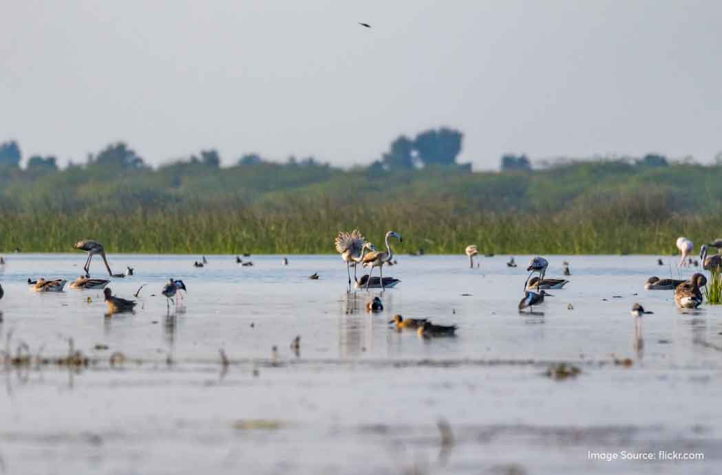 Places to Visit in Jamnagar: Journeying through Hills and History