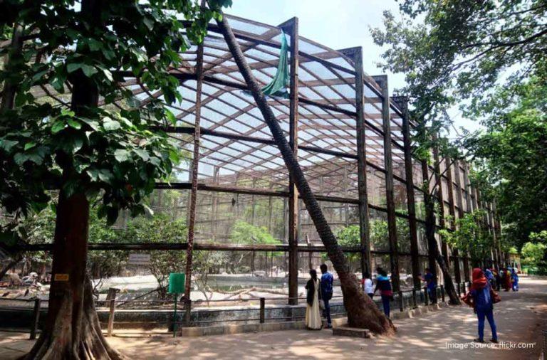 Byculla Zoo: Roars, Hiss and Chirps in the Heart of Mumbai