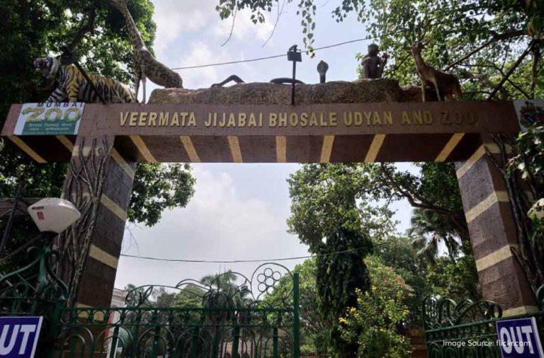 Byculla Zoo: Roars, Hiss and Chirps in the Heart of Mumbai