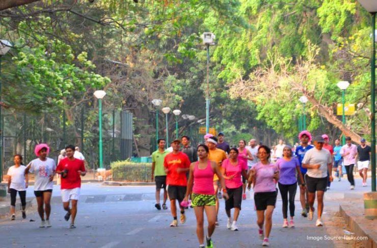 Cubbon Park 2024: History, Timings, Latest Updates and More