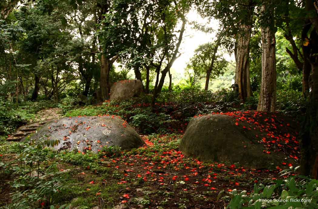 Cubbon Park 2024: History, Timings, Latest Updates and More
