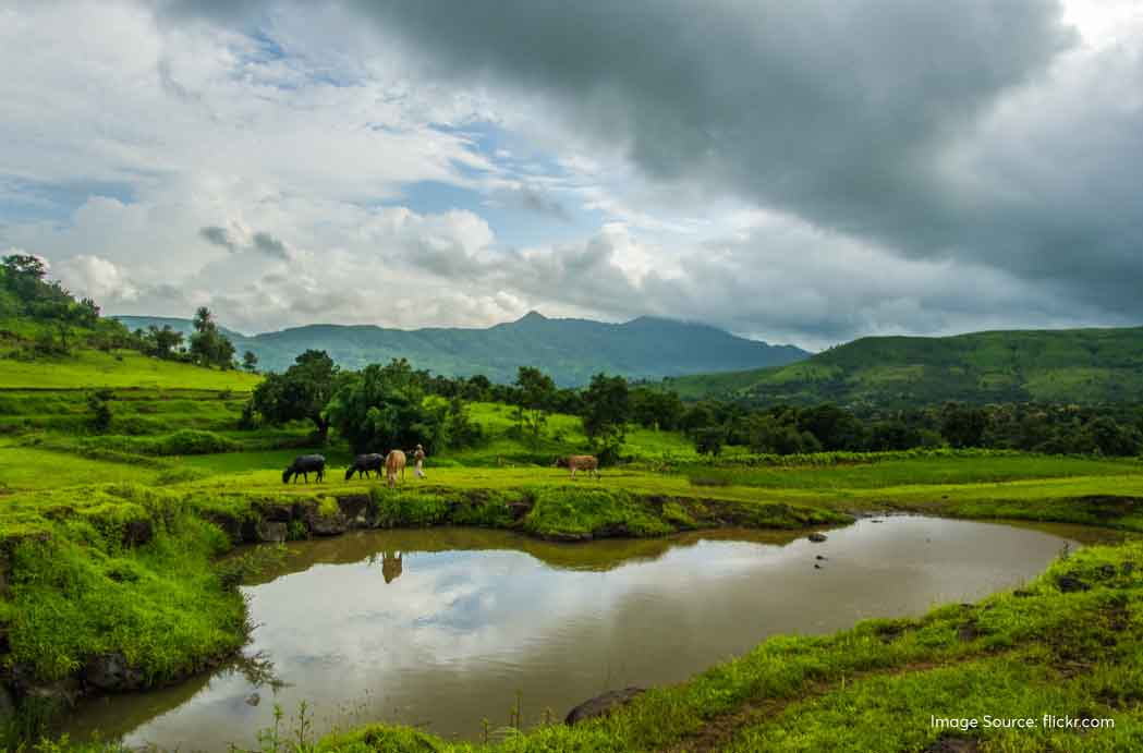 Camping near Pune: Into the Wild and Below the Dazzling Stars