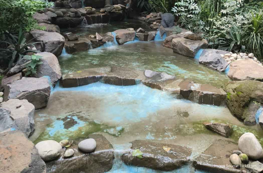 Exploring the Waste to Wonder Park: A Tribute to Sustainability in New ...