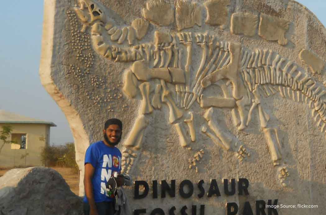 Fossil Parks in India: Majestic Dinosaurs, Mysterious Trees and More!