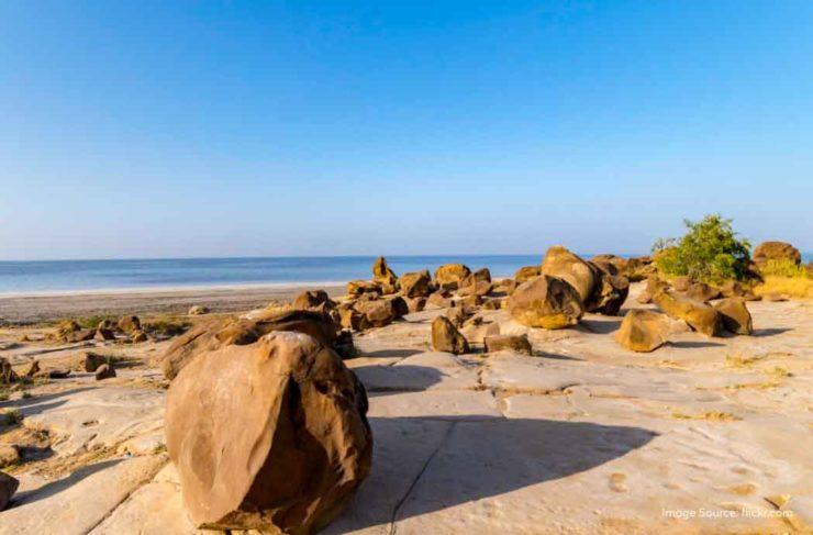 Fossil Parks in India: Majestic Dinosaurs, Mysterious Trees and More!