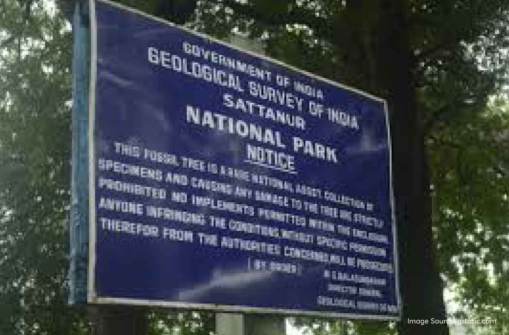 Fossil Parks in India: Majestic Dinosaurs, Mysterious Trees and More!