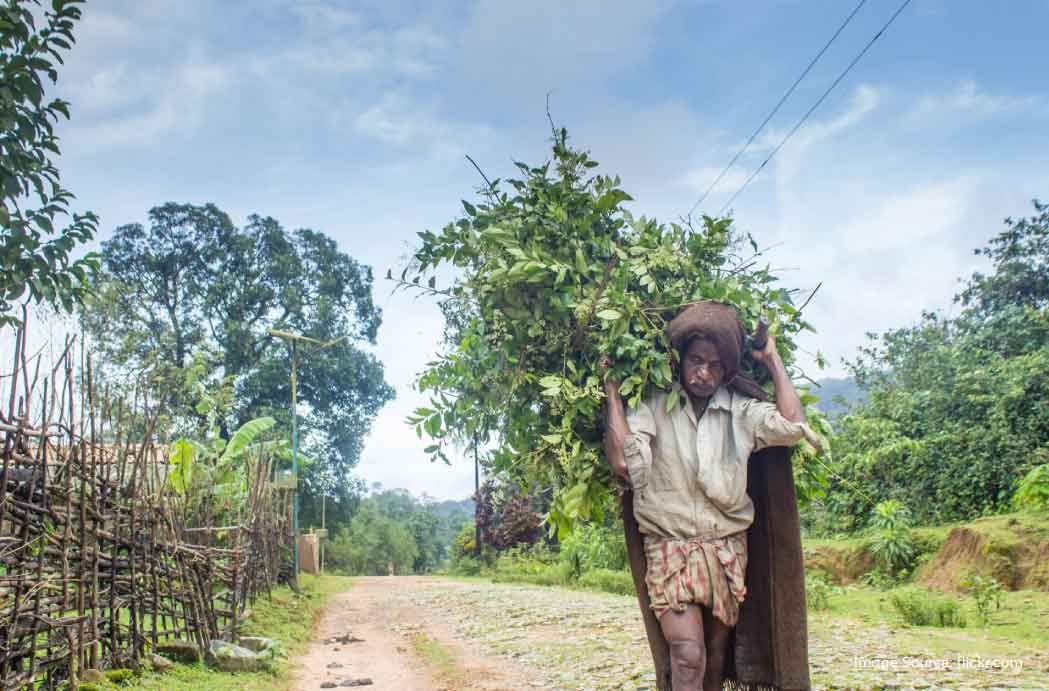 Agumbe Village: The Rainiest South Indian Gem That Inspired The Malgudi ...