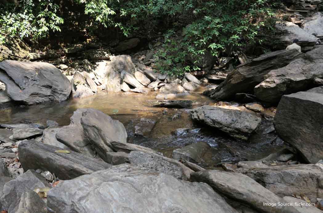 Agumbe Village: The Rainiest South Indian Gem That Inspired The Malgudi ...